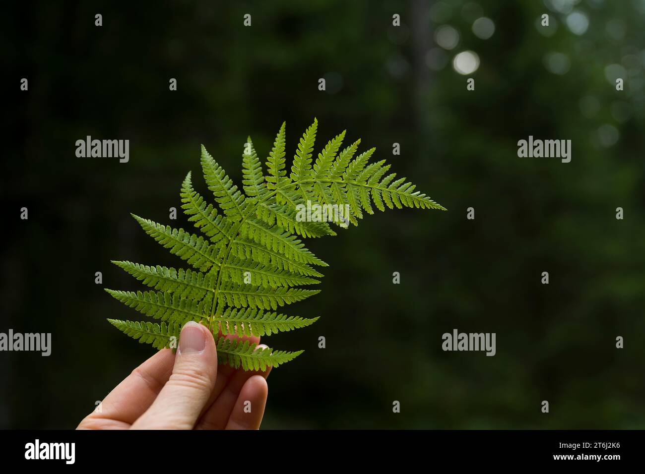 Holding hands on walk close hi-res stock photography and images - Alamy