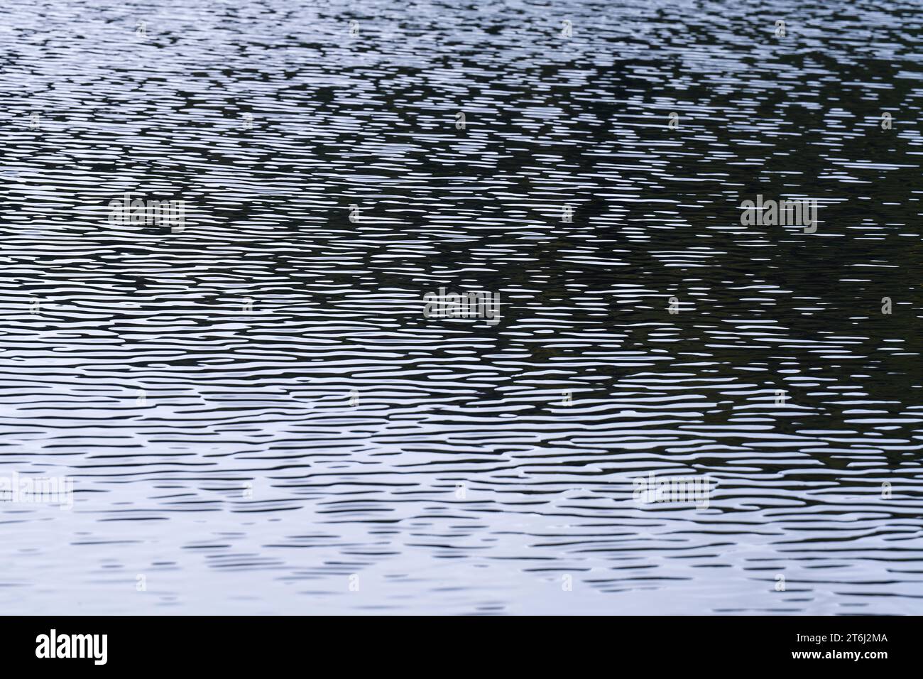 small waves and light reflections on the water surface of a lake ...