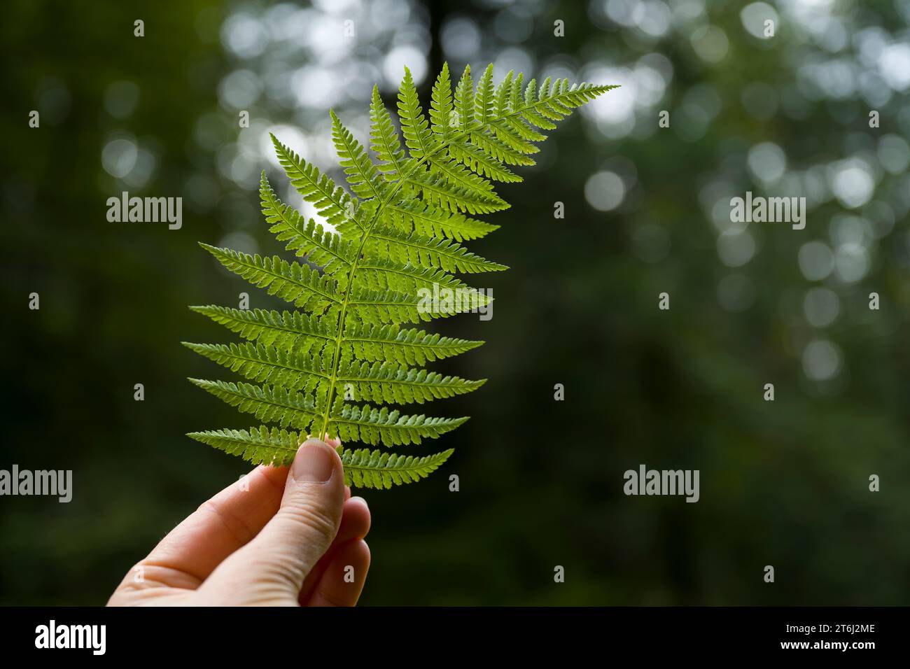 Holding hands on walk close hi-res stock photography and images - Alamy