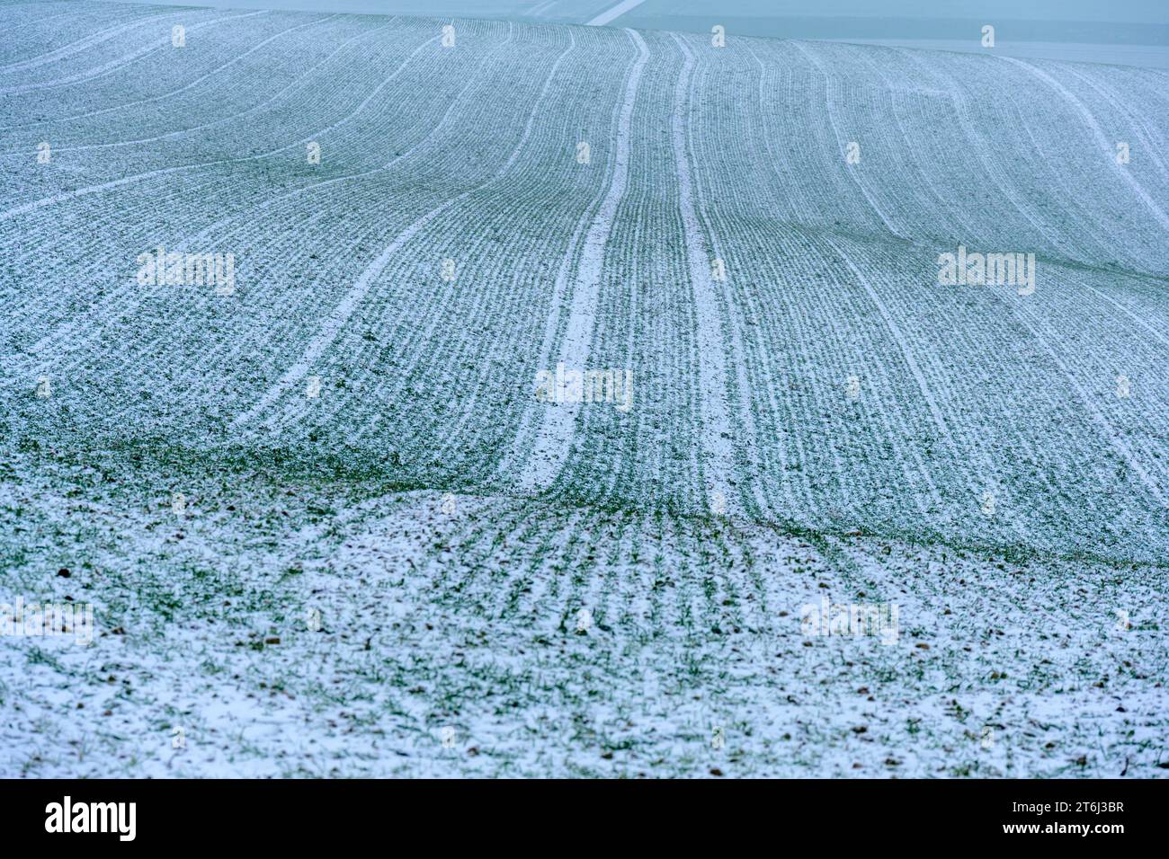 Field line up rolling hi-res stock photography and images - Alamy