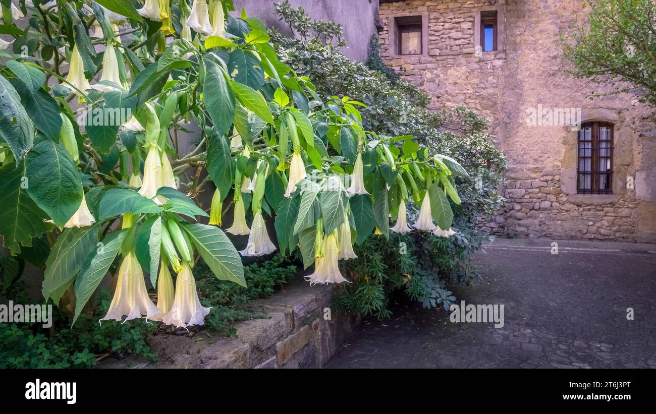 Medieval people 11th century hi-res stock photography and images - Alamy