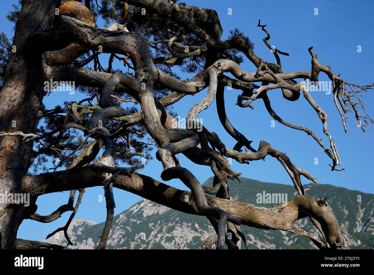Chiemgau mountain range hi-res stock photography and images - Alamy