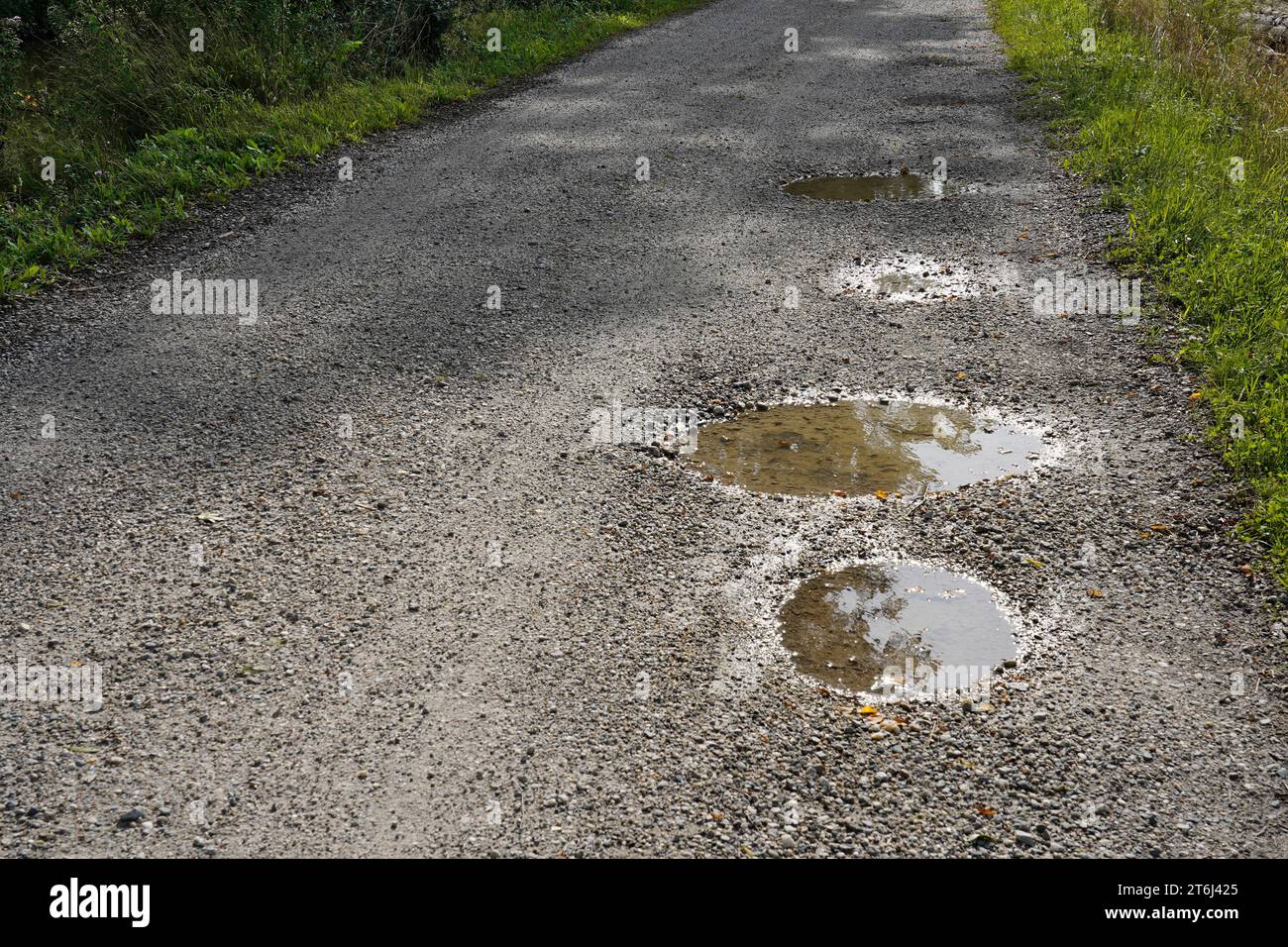 Germany, Bavaria, Upper Bavaria, Altötting district, gravel road ...