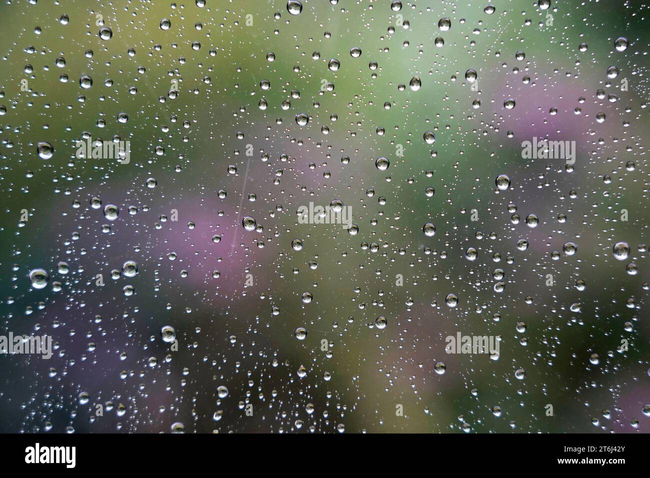 Raindrops window pane hi-res stock photography and images - Alamy