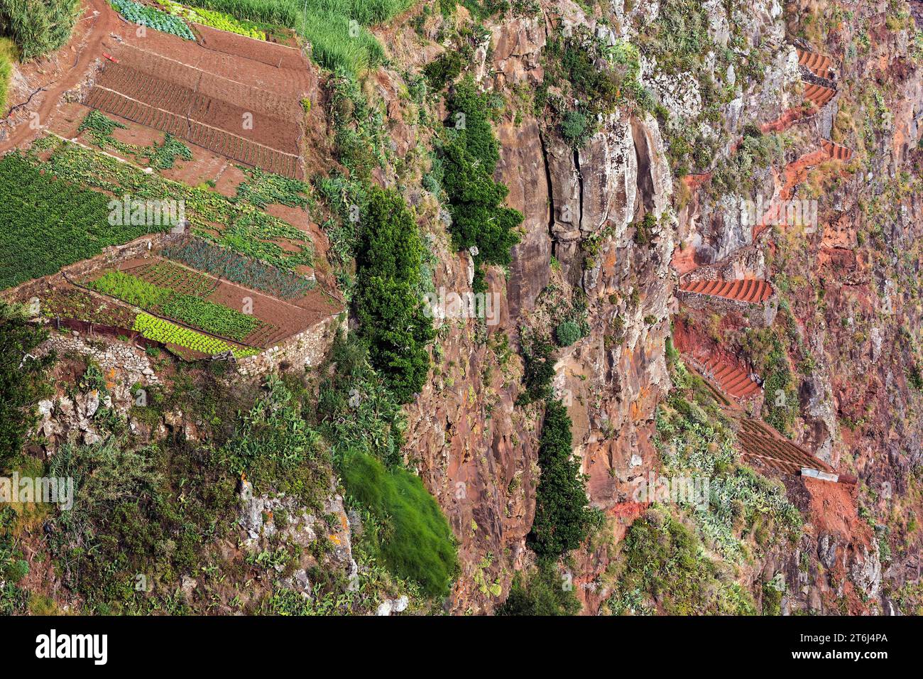 Glass bottom skywalk hi-res stock photography and images - Alamy