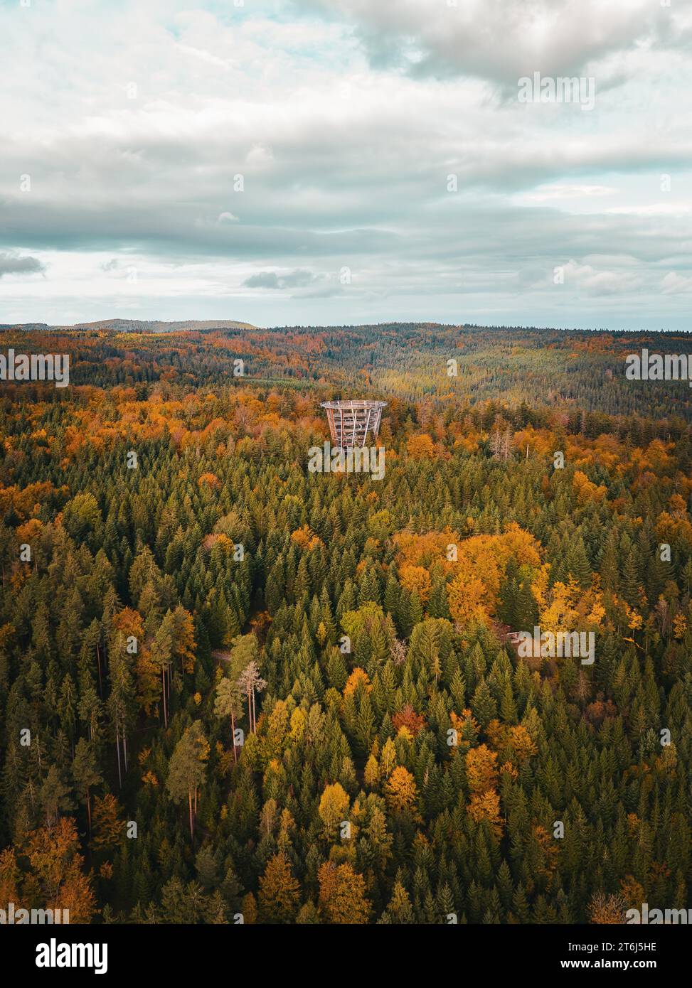 Aerial view of the observation tower treetop walk in the autumn forest ...