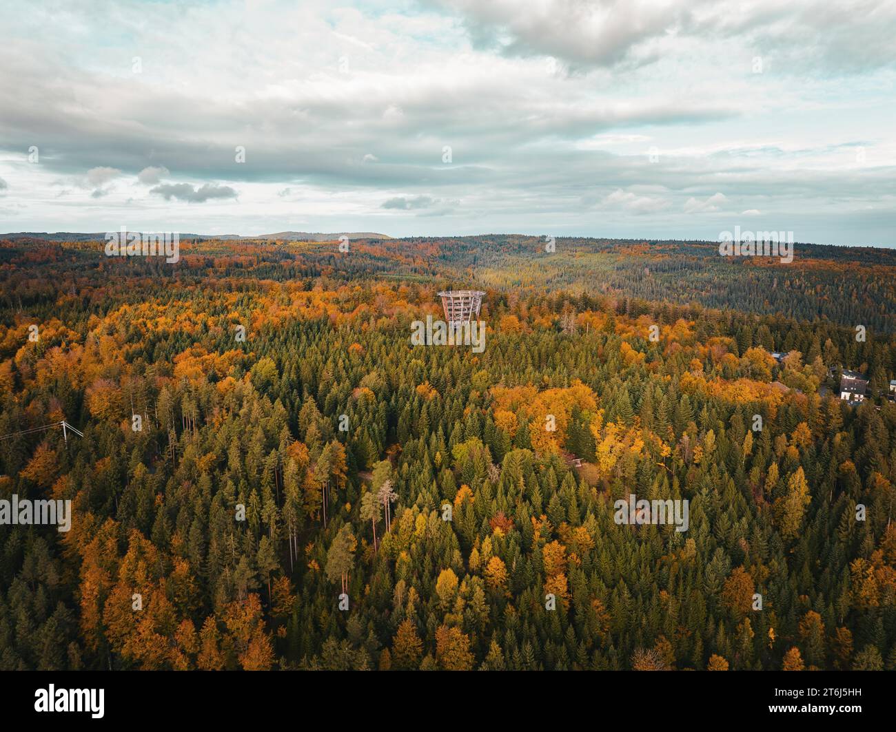 Aerial view of the observation tower treetop walk in the autumn forest ...
