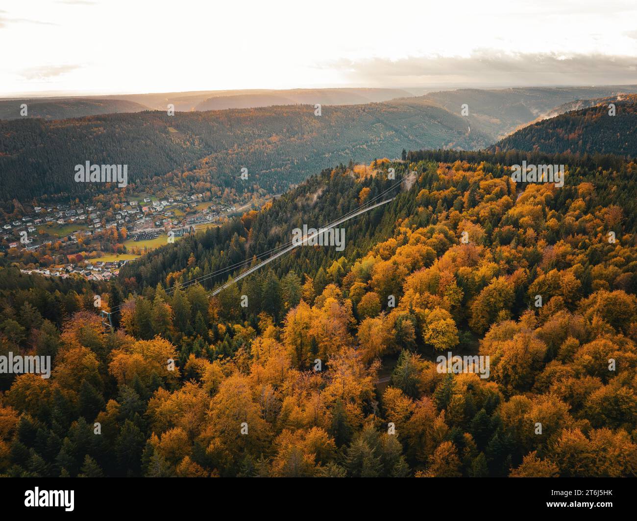Aerial view of the Wildline suspension bridge in autumn, Sommerberg ...