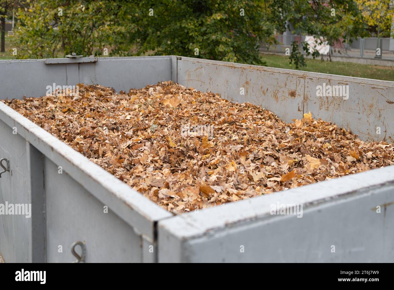 Dry Fallen leaves bio Organic waste in a huge container. Heap of ...