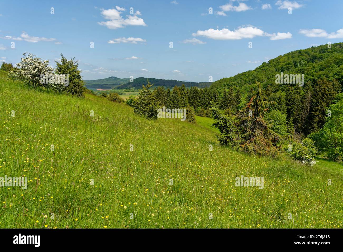 Landscape in the Wiesenthaler Schweiz nature reserve, Rhön biosphere ...