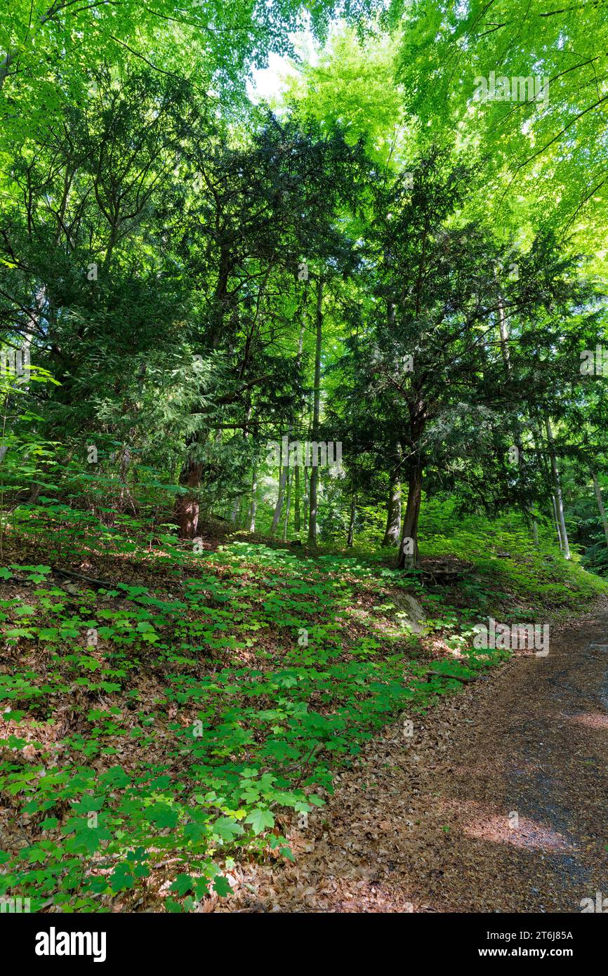 Dermbach municipality hi-res stock photography and images - Alamy