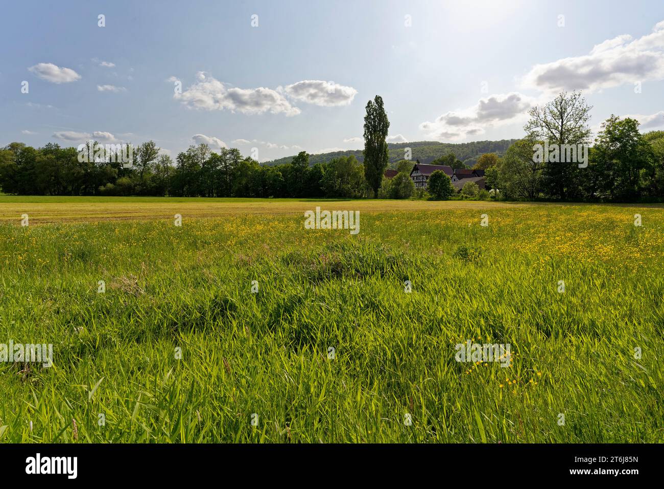 Dermbach community hi-res stock photography and images - Alamy