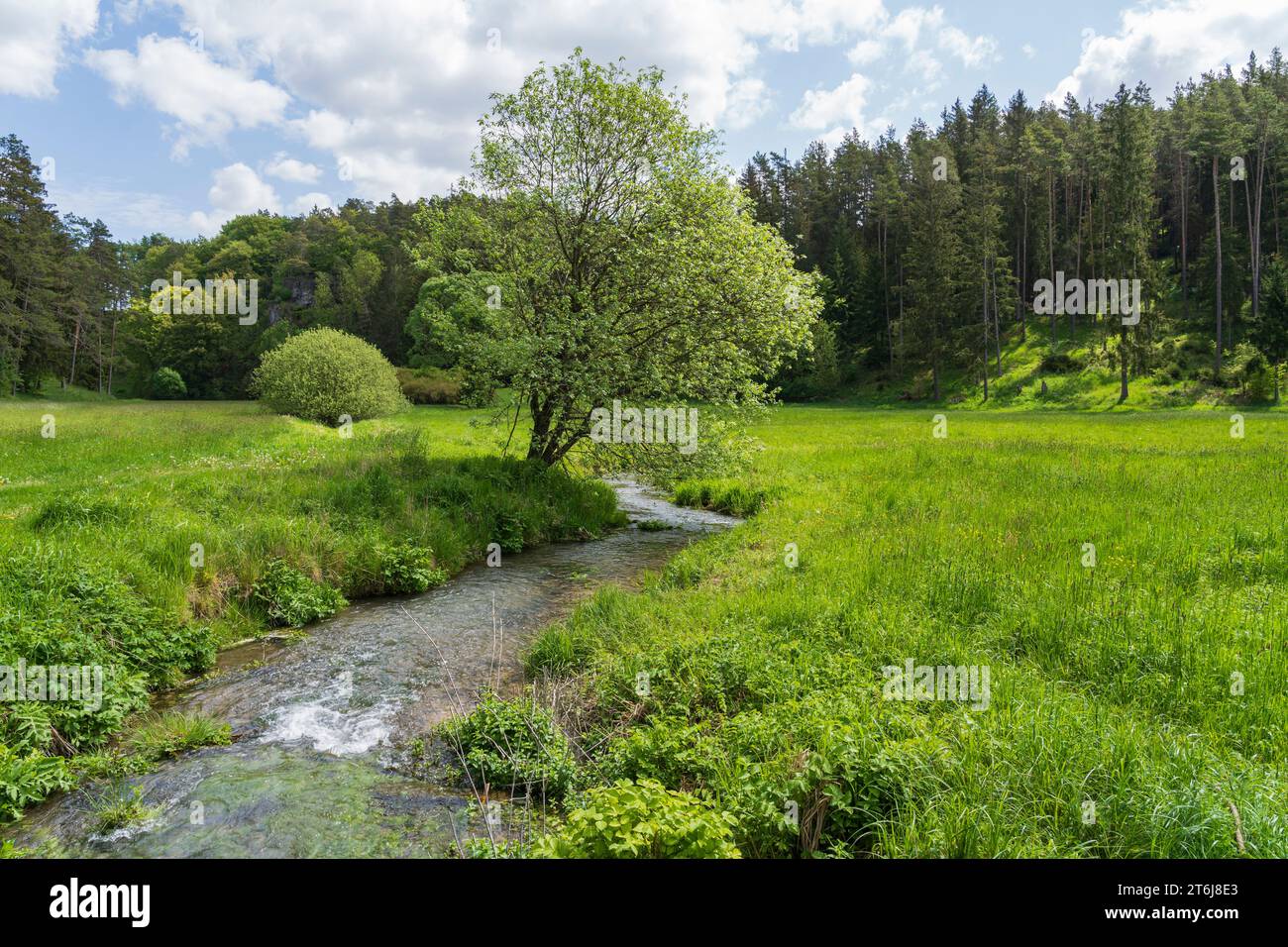 The wiesent in the paradise valley hi-res stock photography and images ...