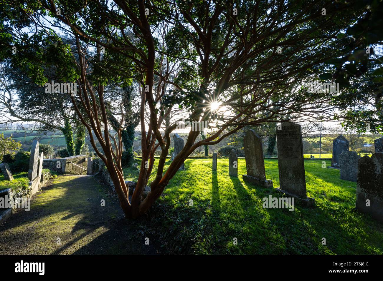 CONSTANTINE CHURCH AND GRAVE YARD MEMORIAL GRAVES ST CONSTANTINE PARISH ...