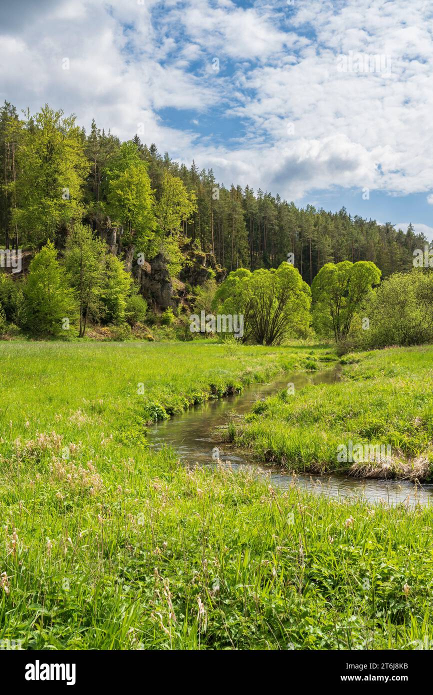 The wiesent in the paradise valley hi-res stock photography and images ...