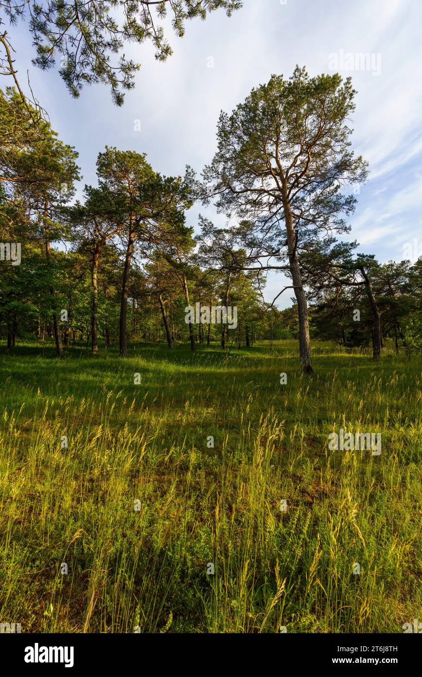 Mainfranken landscape conservation area hi-res stock photography and ...
