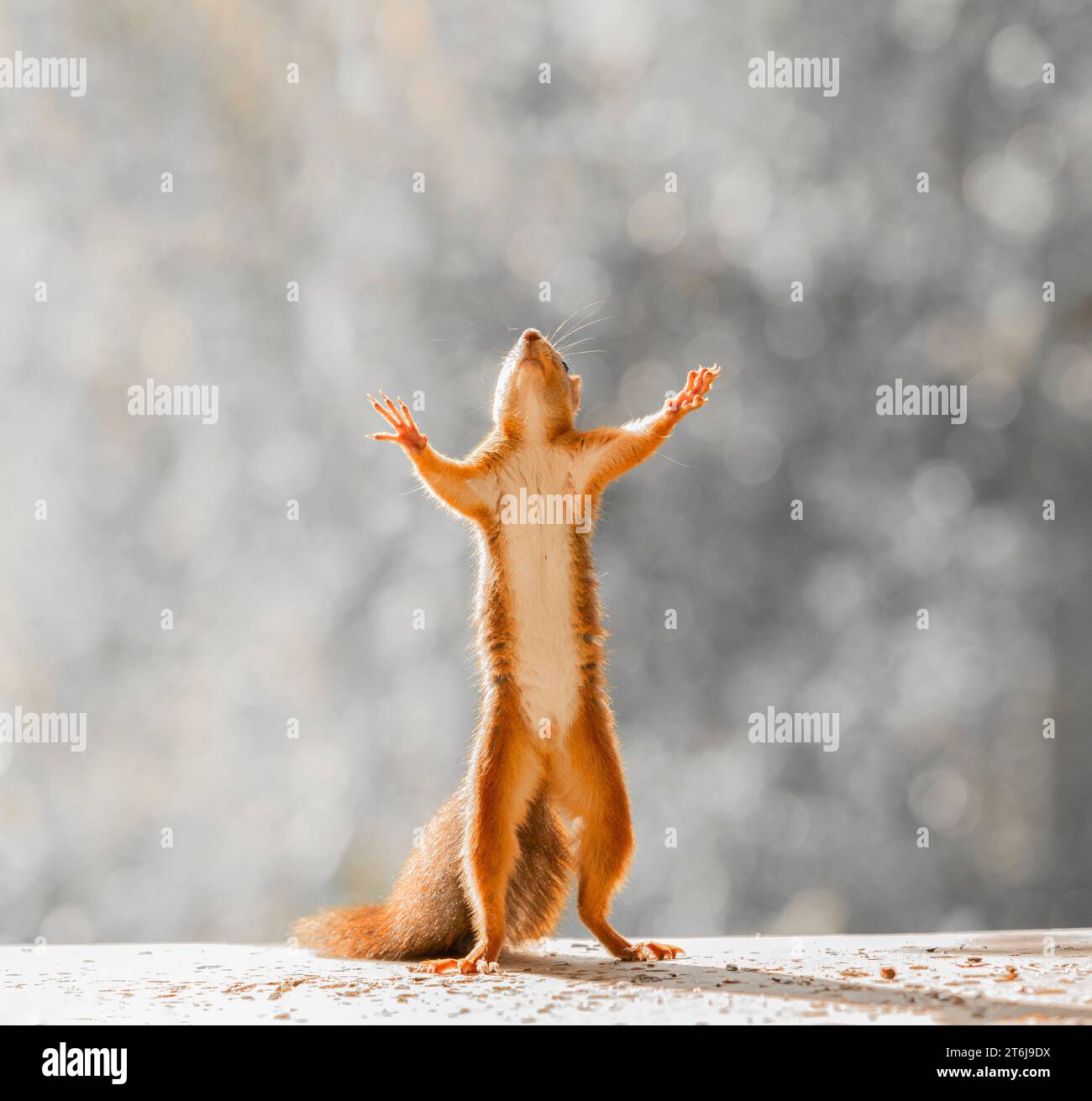 Raised arms hi-res stock photography and images - Alamy