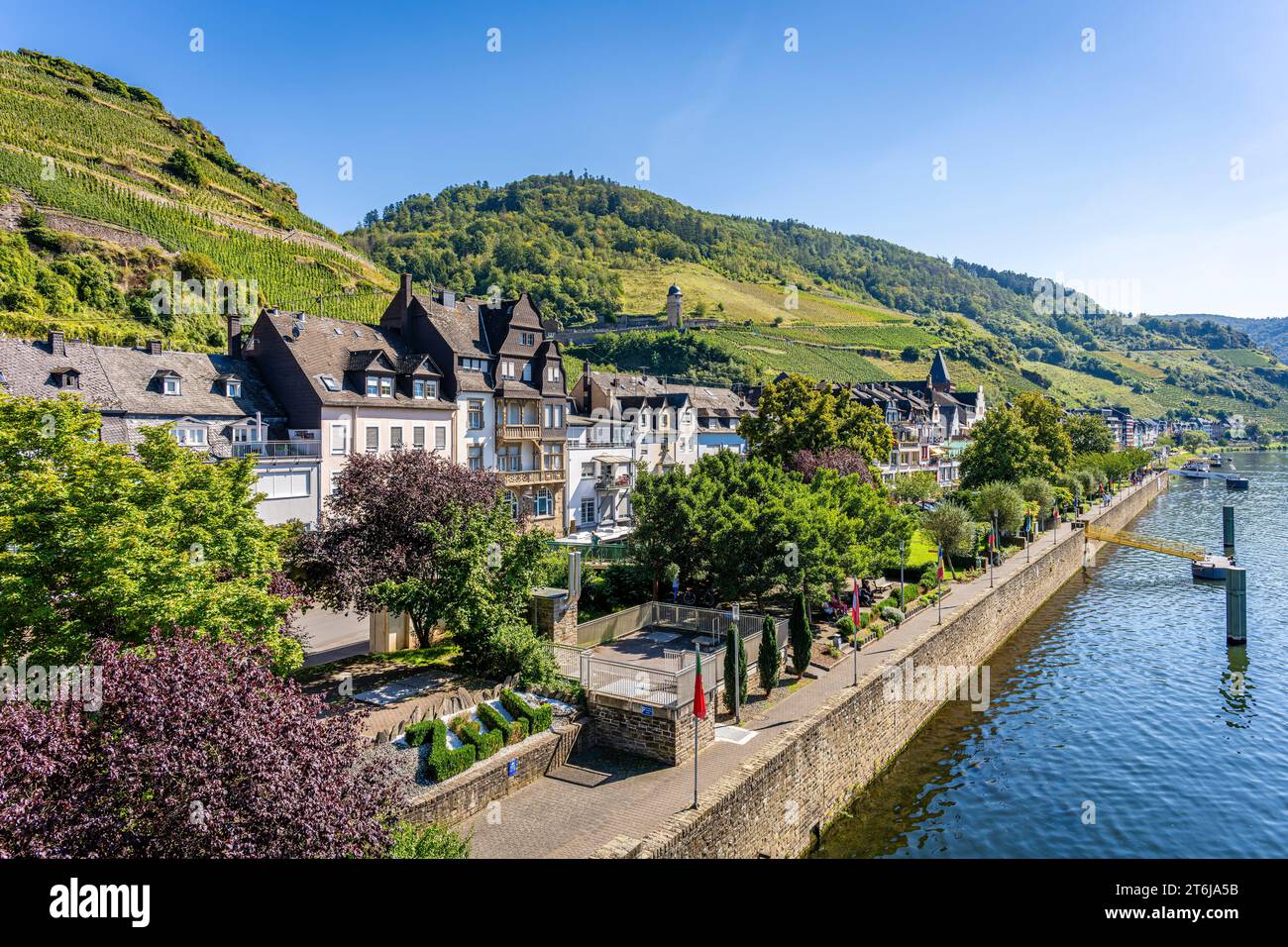 Zell an der Mosel, town with a long history of viticulture at the ...