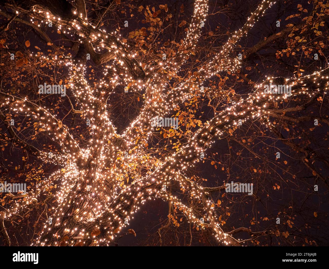 String of lights hi-res stock photography and images - Alamy