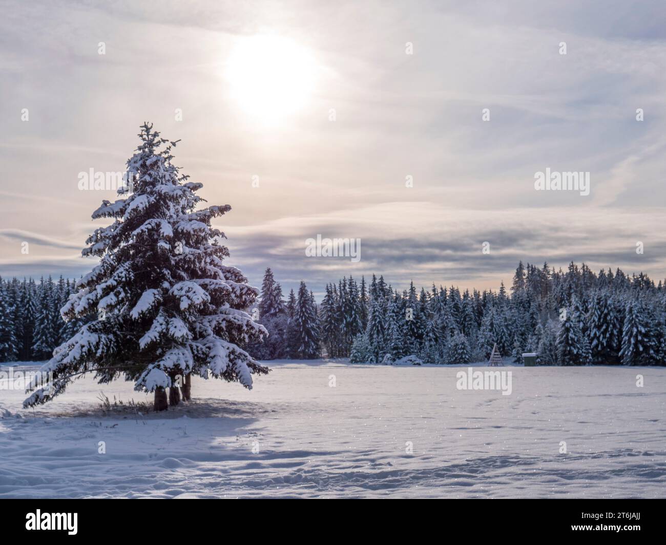 Elend harz hi-res stock photography and images - Alamy