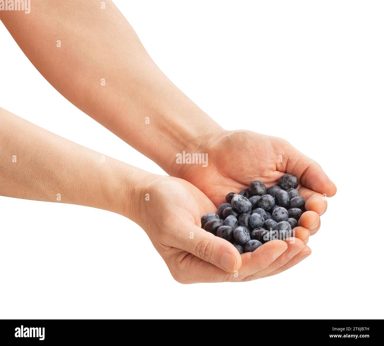 blueberry in hand path isolated on white Stock Photo - Alamy
