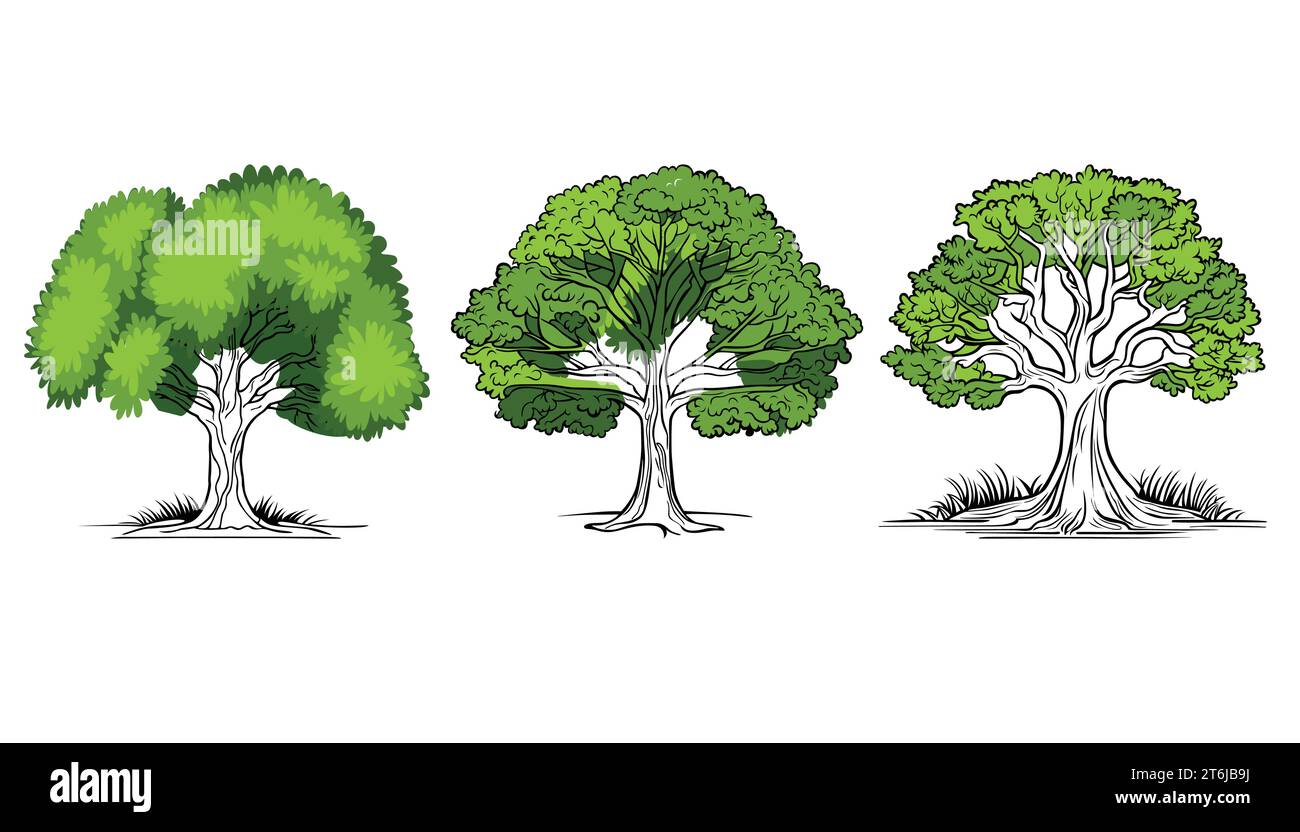 Vector trees outline on white background Stock Vector Image & Art - Alamy