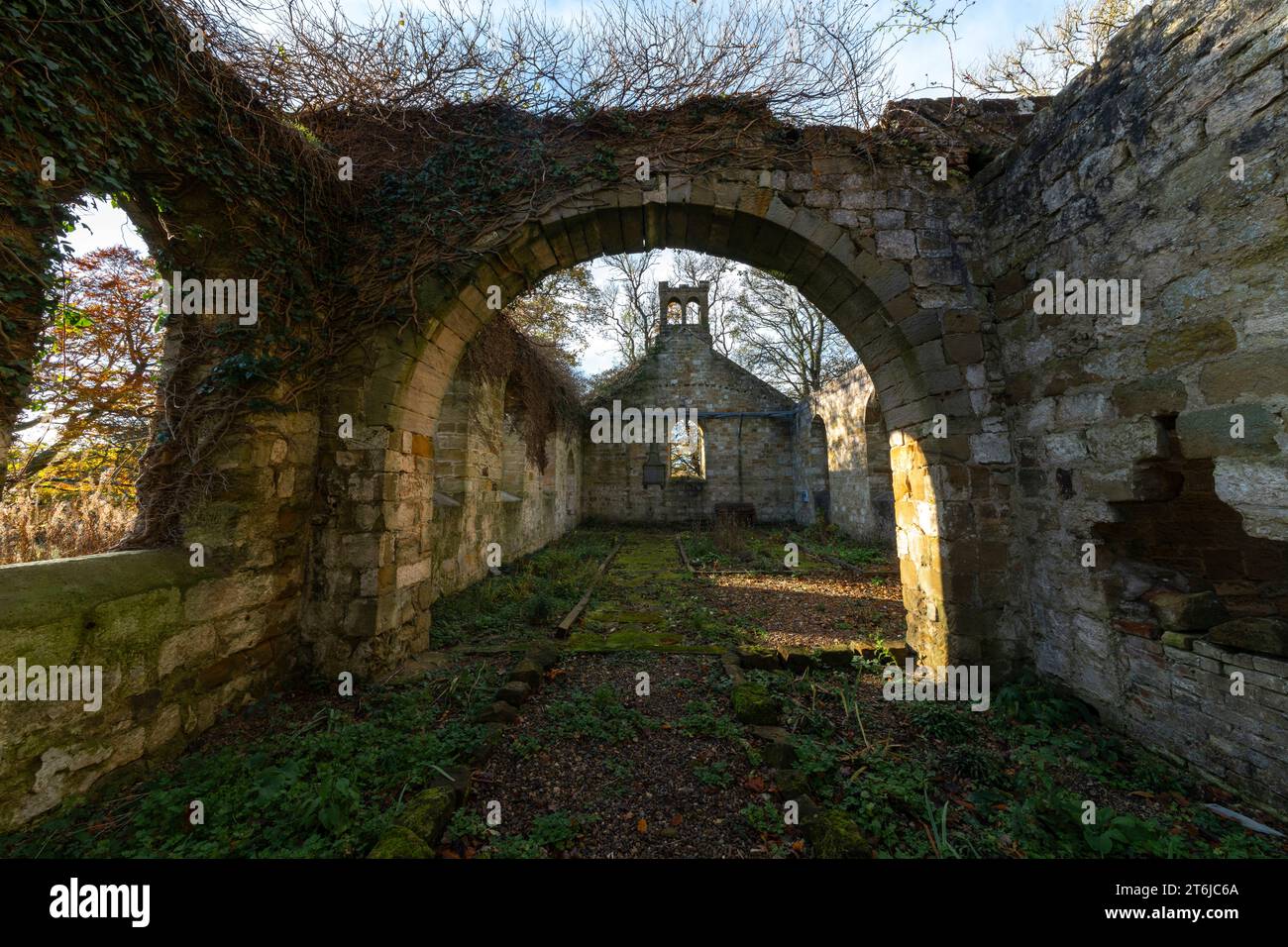 Old St. Helen's Longhorsley Stock Photo - Alamy