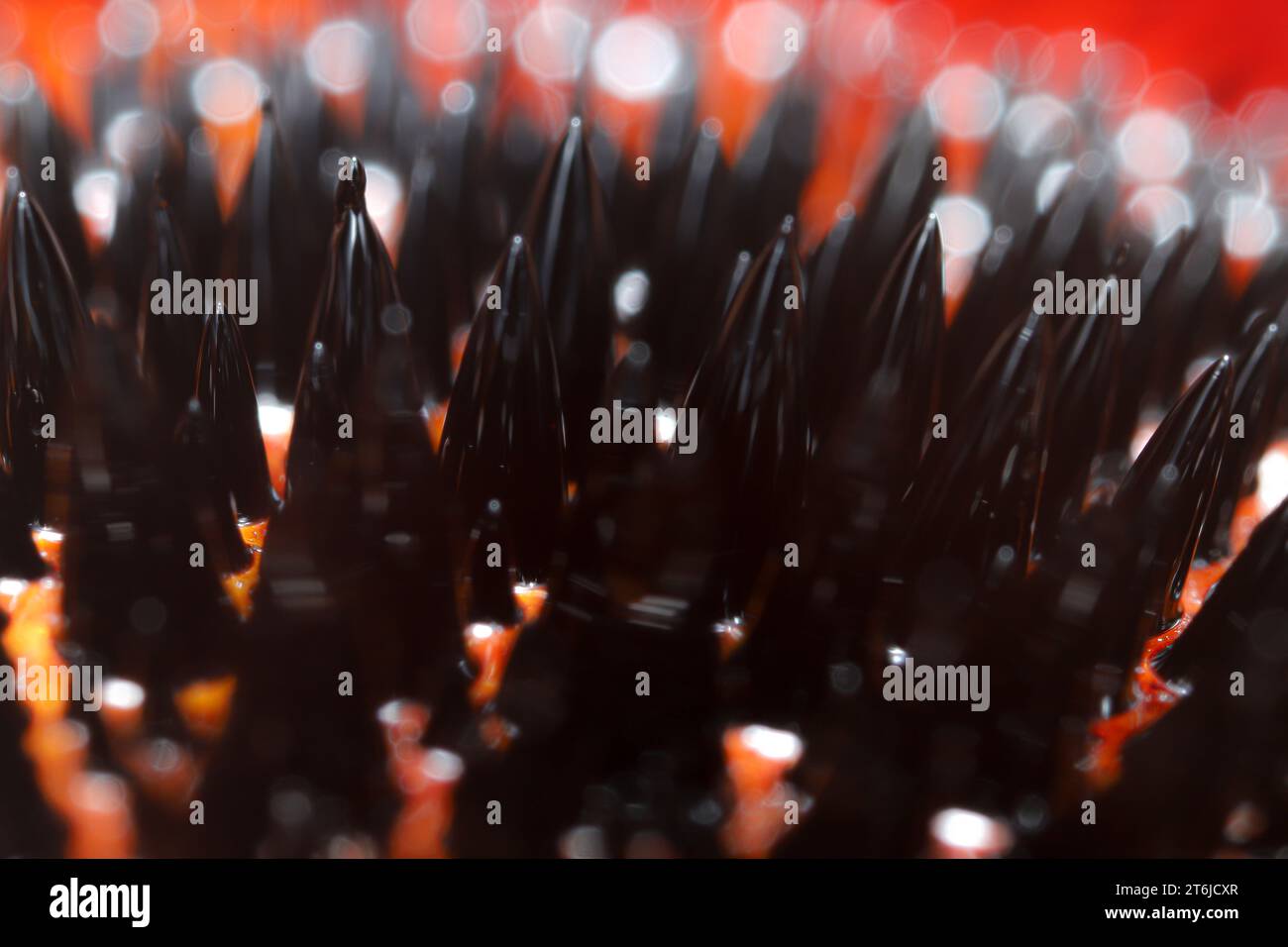 Ferrofluid black spikes. Reaction to a magnetic field. Magnetic liquid ...