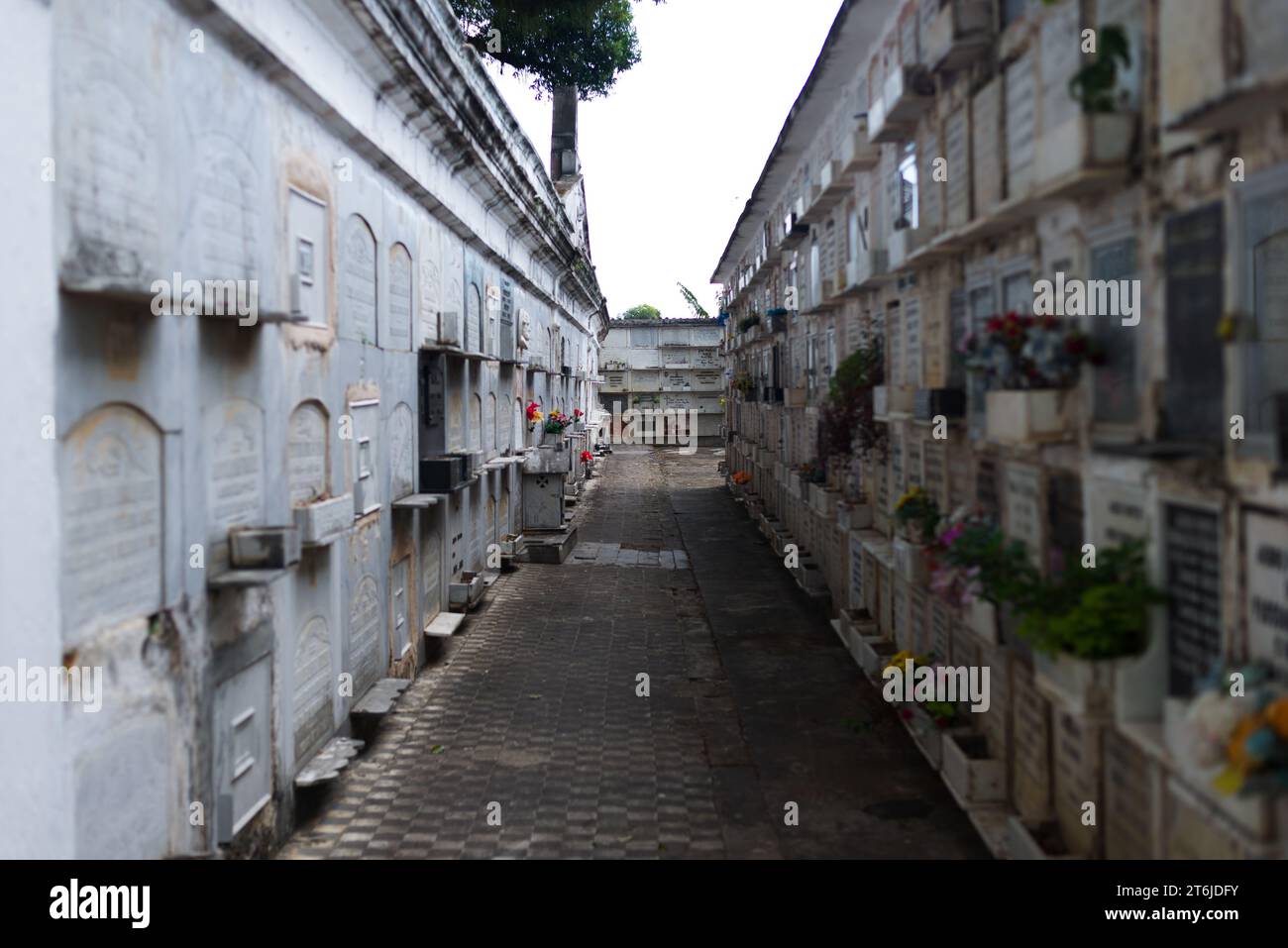 Salvador, Bahia, Brazil - November 02, 2023: Burial drawers at the ...