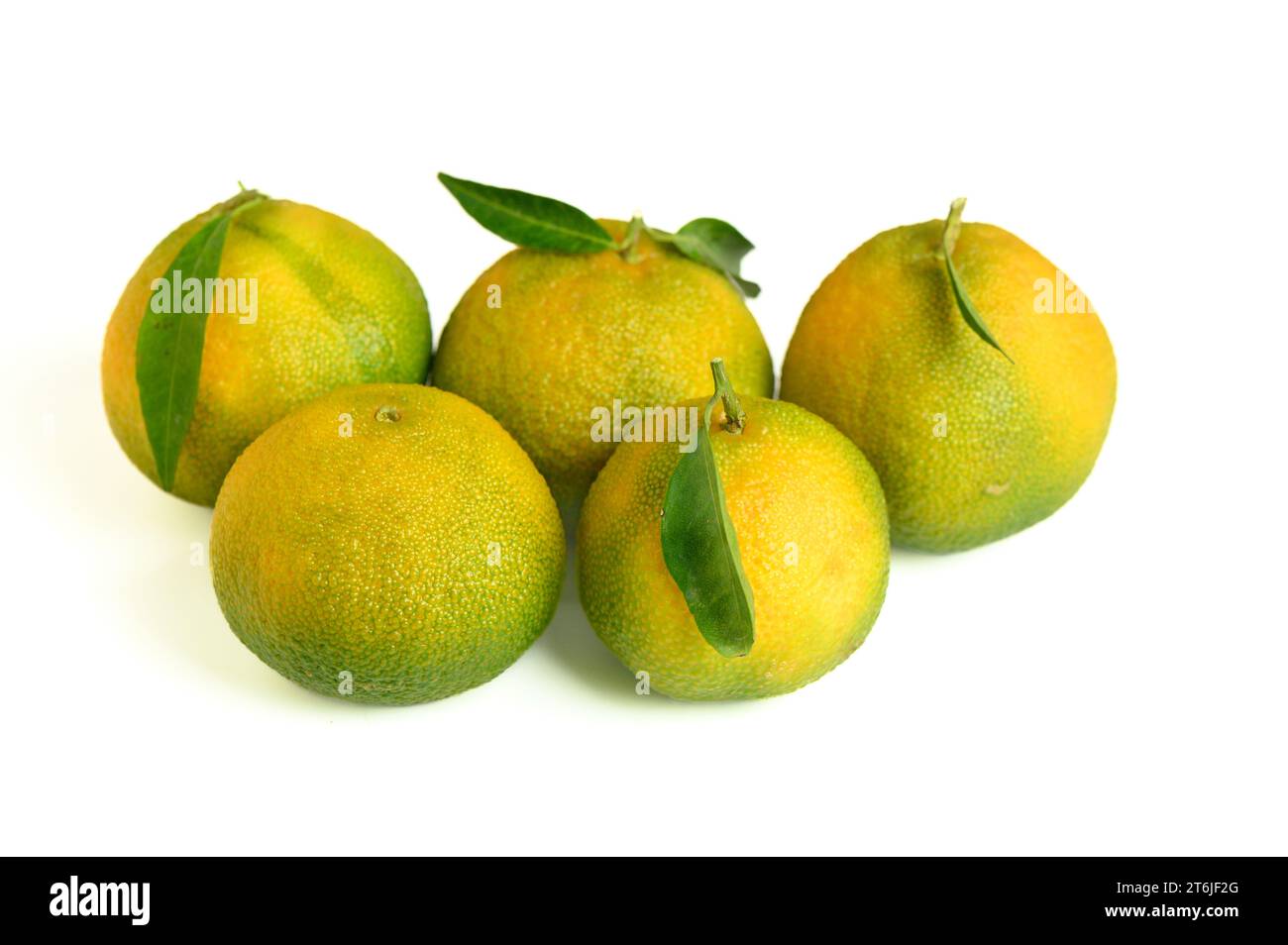 five fresh tangerines on a white background Stock Photo - Alamy