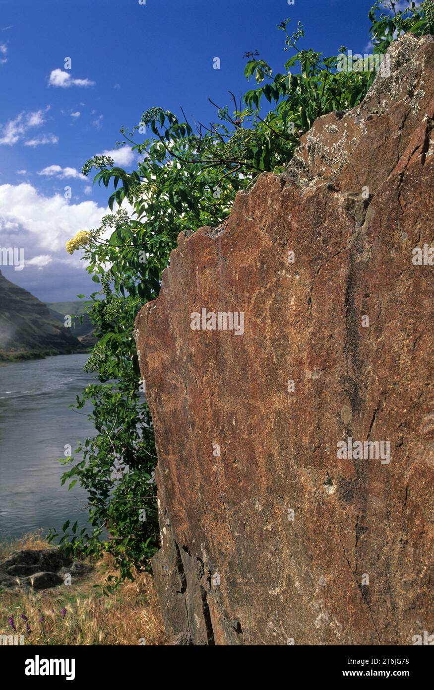Buffalo Eddy petroglyphs, Nez Perce National Historic Park, Washington ...