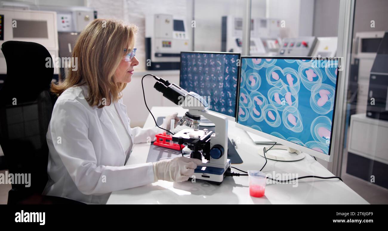 Innovative Hospital Lab: Doctor Conducts Computerized Chemistry ...
