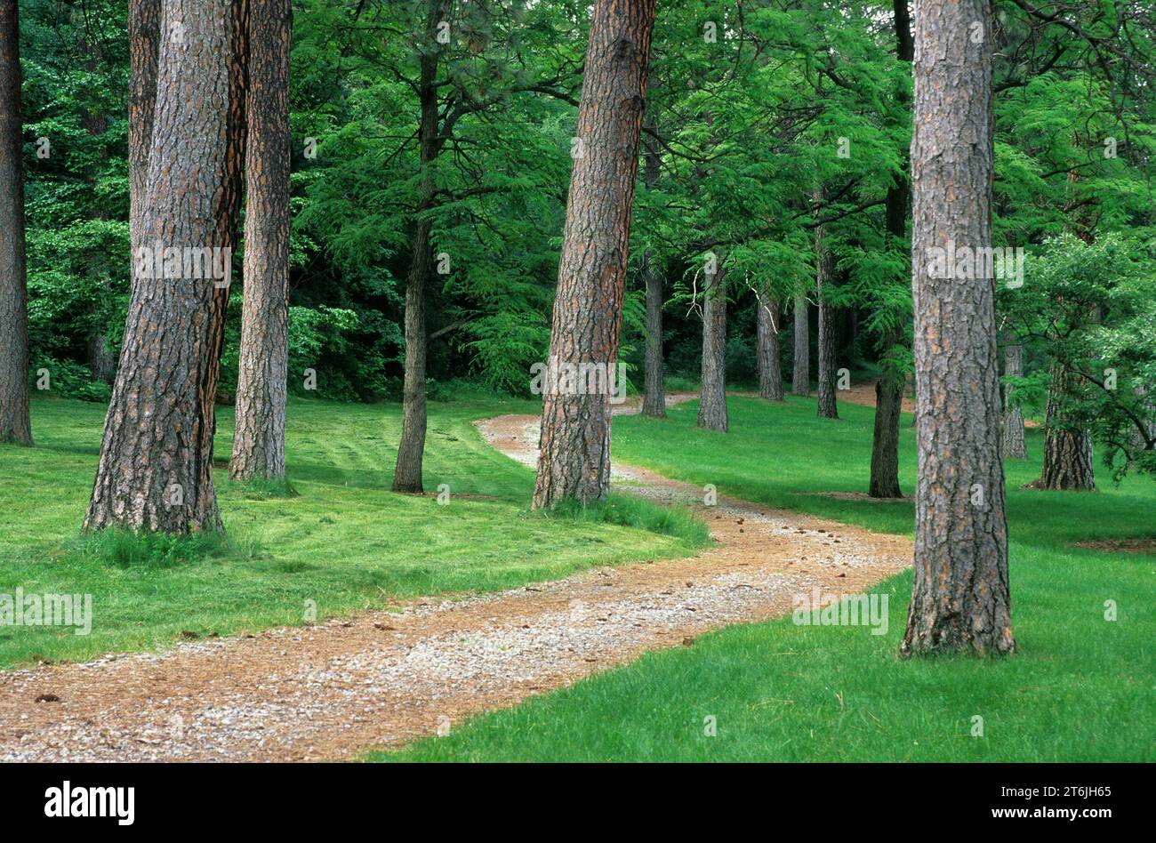 Path, Finch Arboretum, Spokane, Washington Stock Photo - Alamy