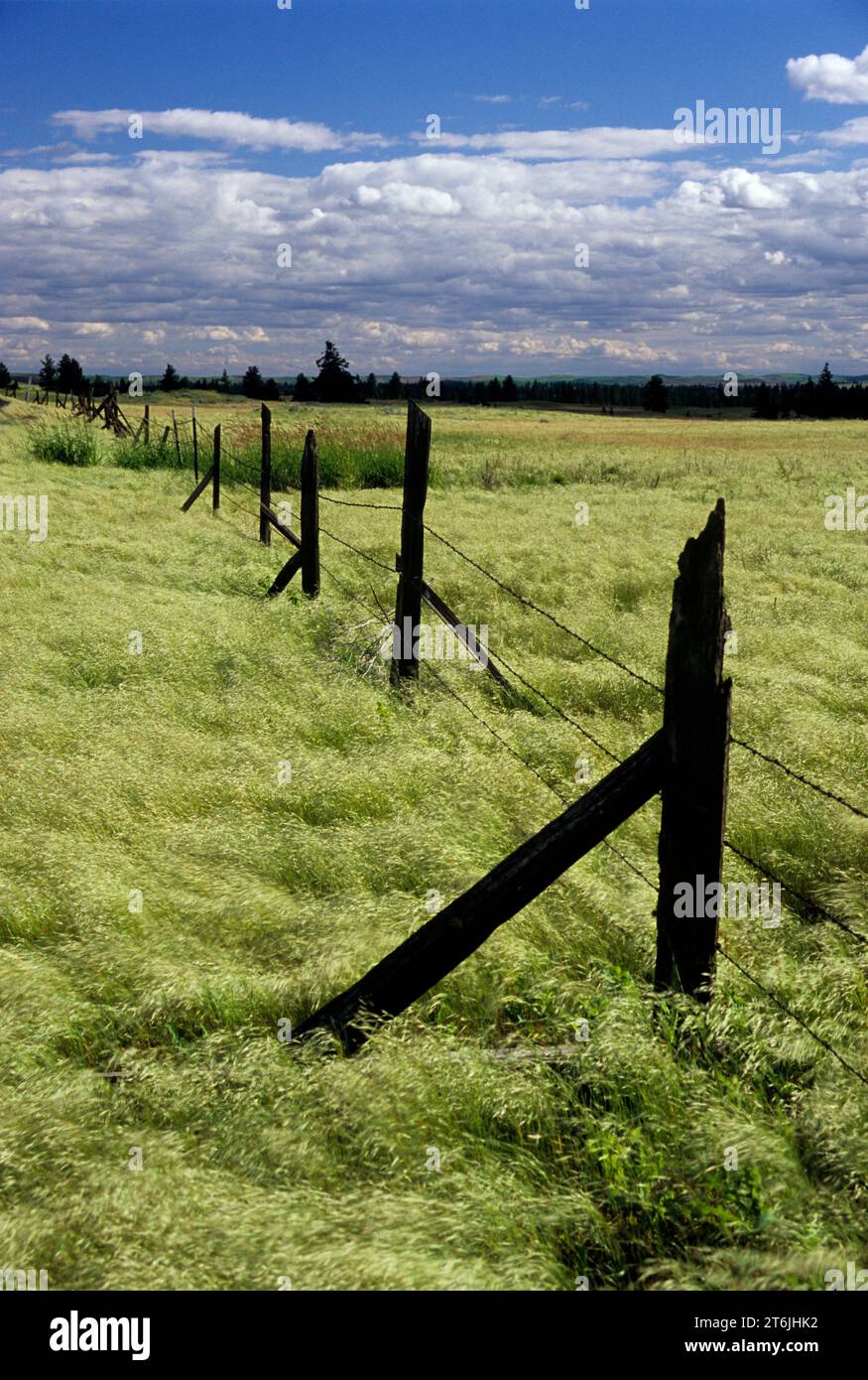 Ranch fence, Spokane County, Washington Stock Photo - Alamy