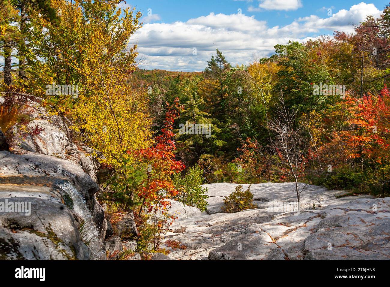 Autumn colors in the Shawangunk Mountains, hiking path in the forest ...