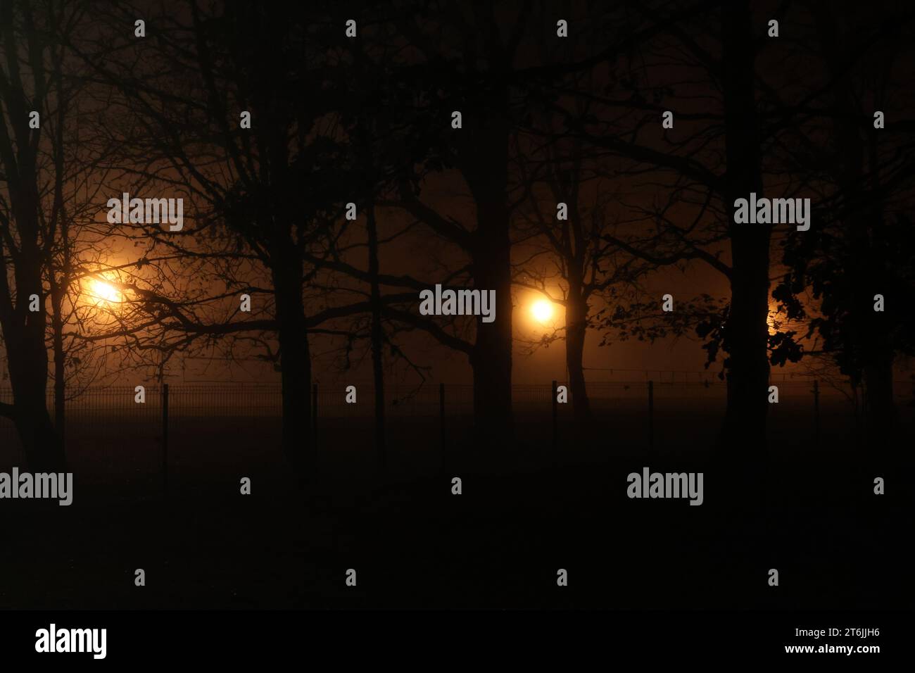 Empty night street with fog and lights Stock Photo - Alamy