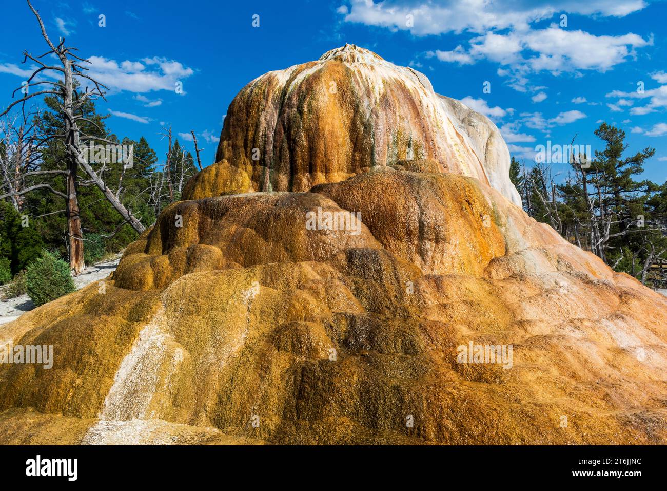 Orange Spring Mound, near Mammoth Hot Springs, Yellowstone National ...