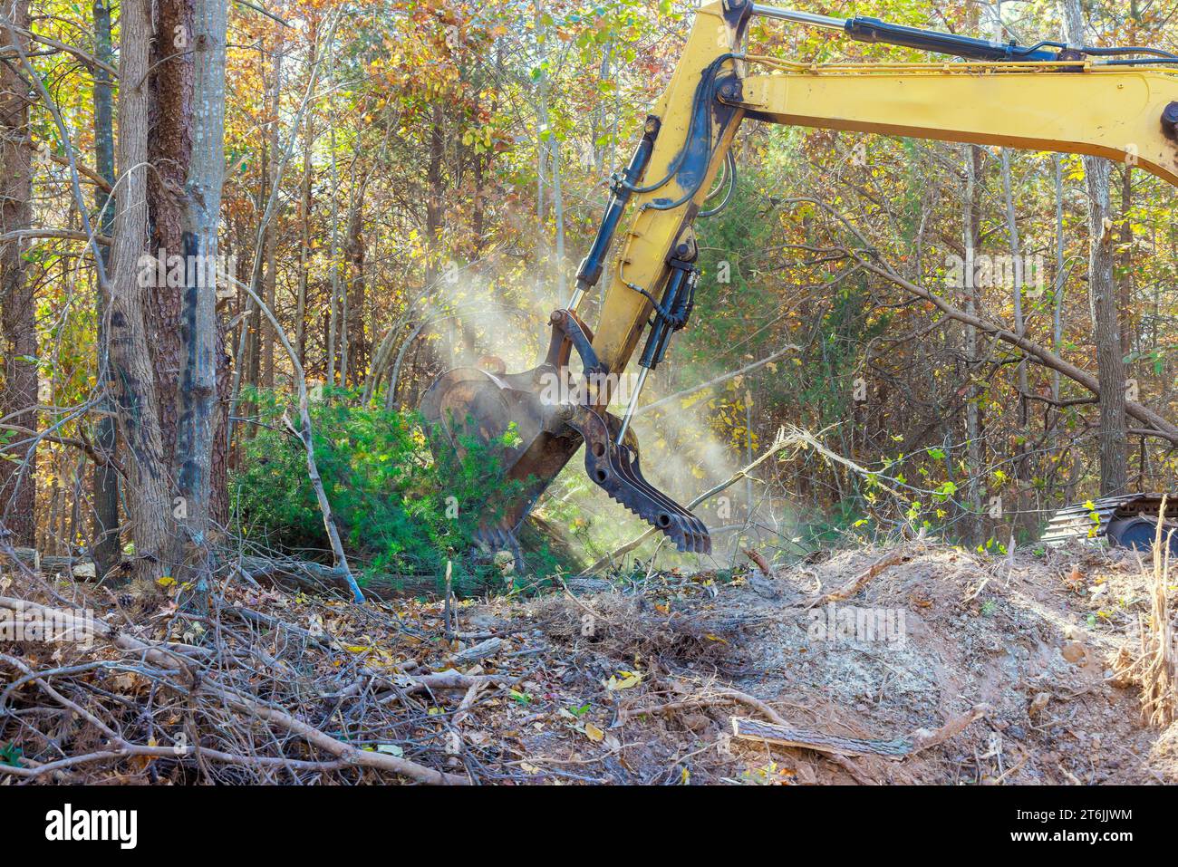 Builder uses tractor to uproot trees in forest in preparation for ...