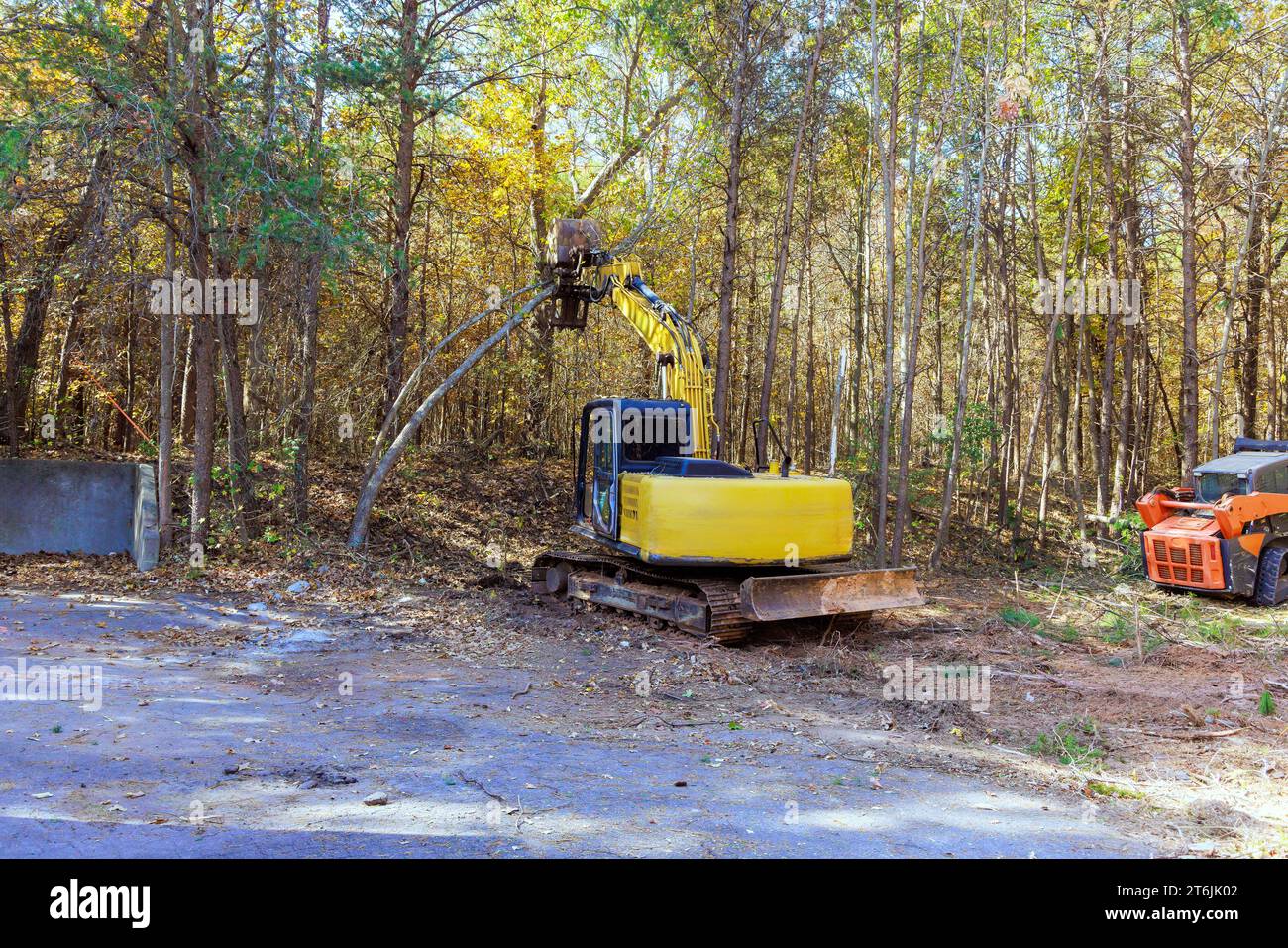 Using tractor builder uproots trees in forest preparation for ...