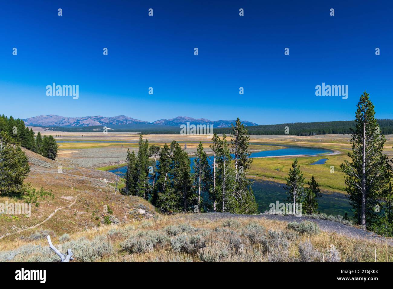 Yellowstone River flows through Hayden Valley, Yellowstone National ...