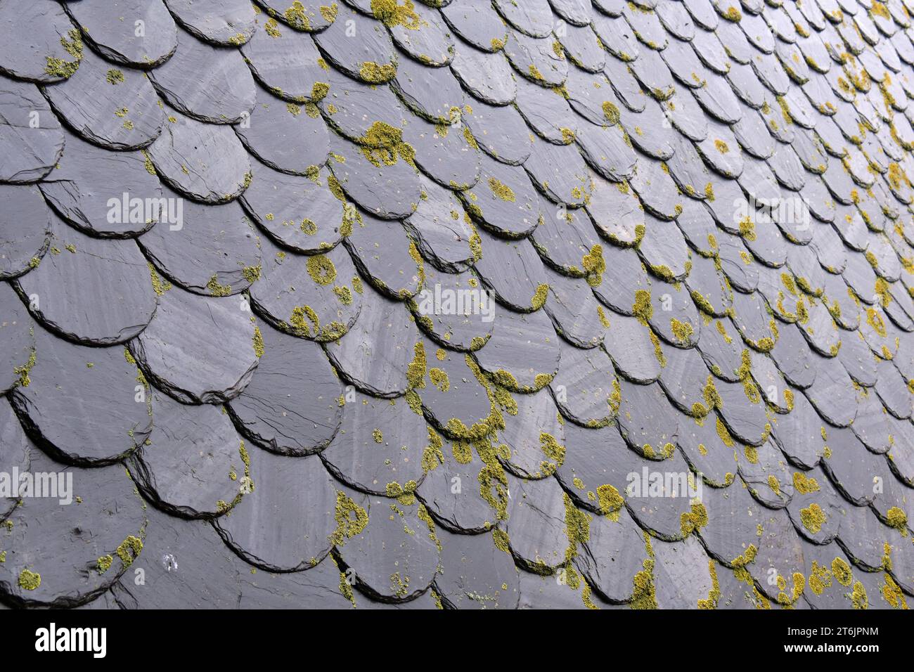Scalloped slate roof tiles with moss Stock Photo - Alamy