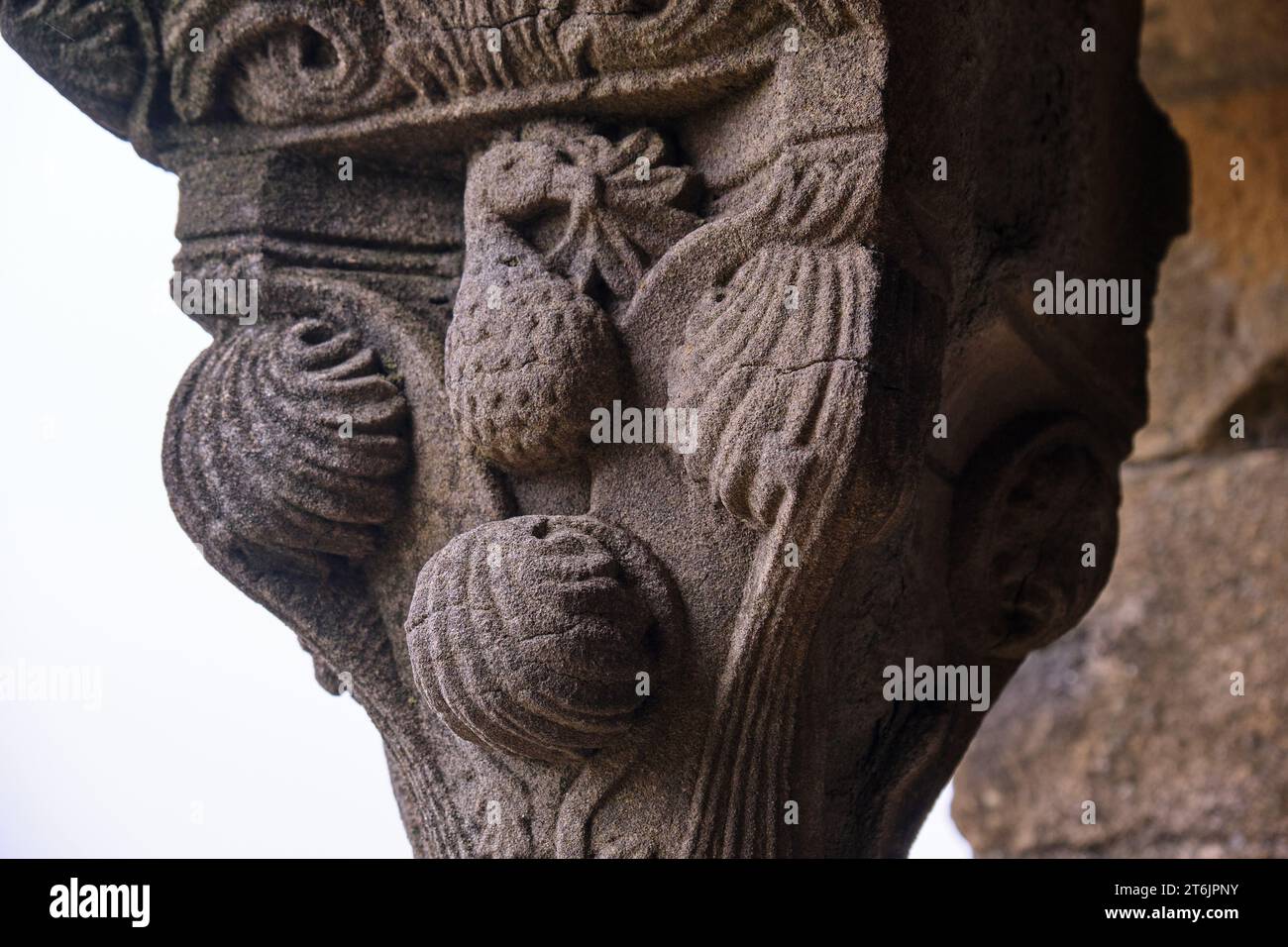 Column with bird hi-res stock photography and images - Alamy
