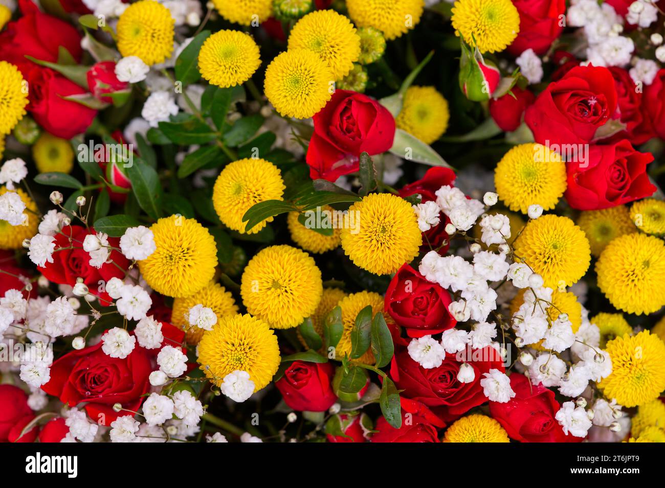 Beautiful Bouquets of Mixed Flowers: Roses, Gerberas, Tulips, for Women ...