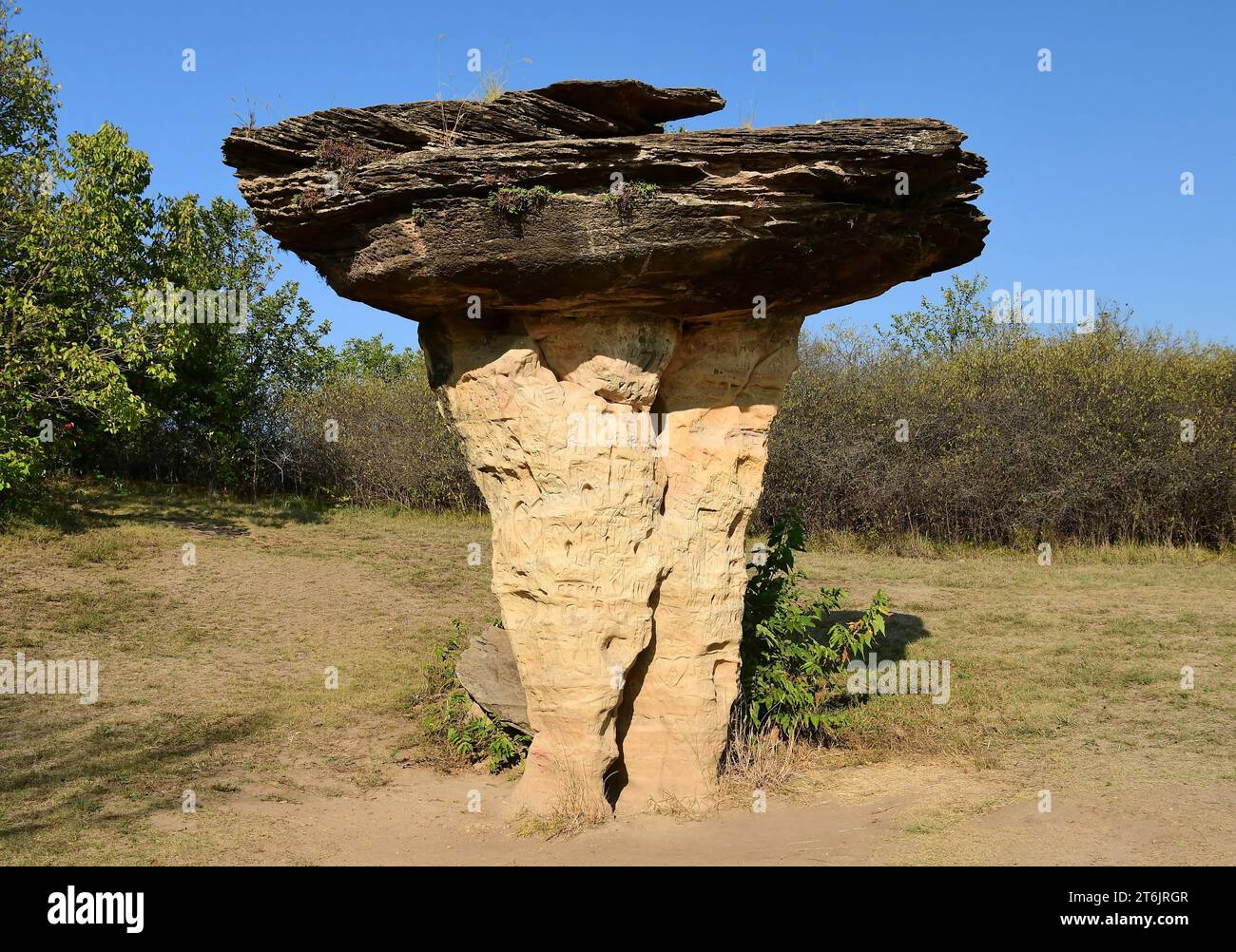 a eroded mushroom rock formation in the roadside attraction of mushroom ...