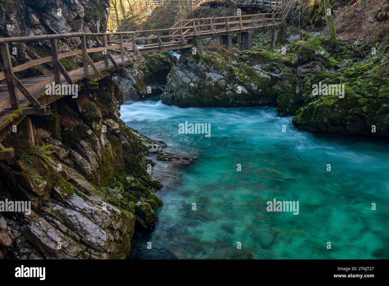 Track in the Vintgar Gorge near Bled, Triglav National Park, Slovenia ...