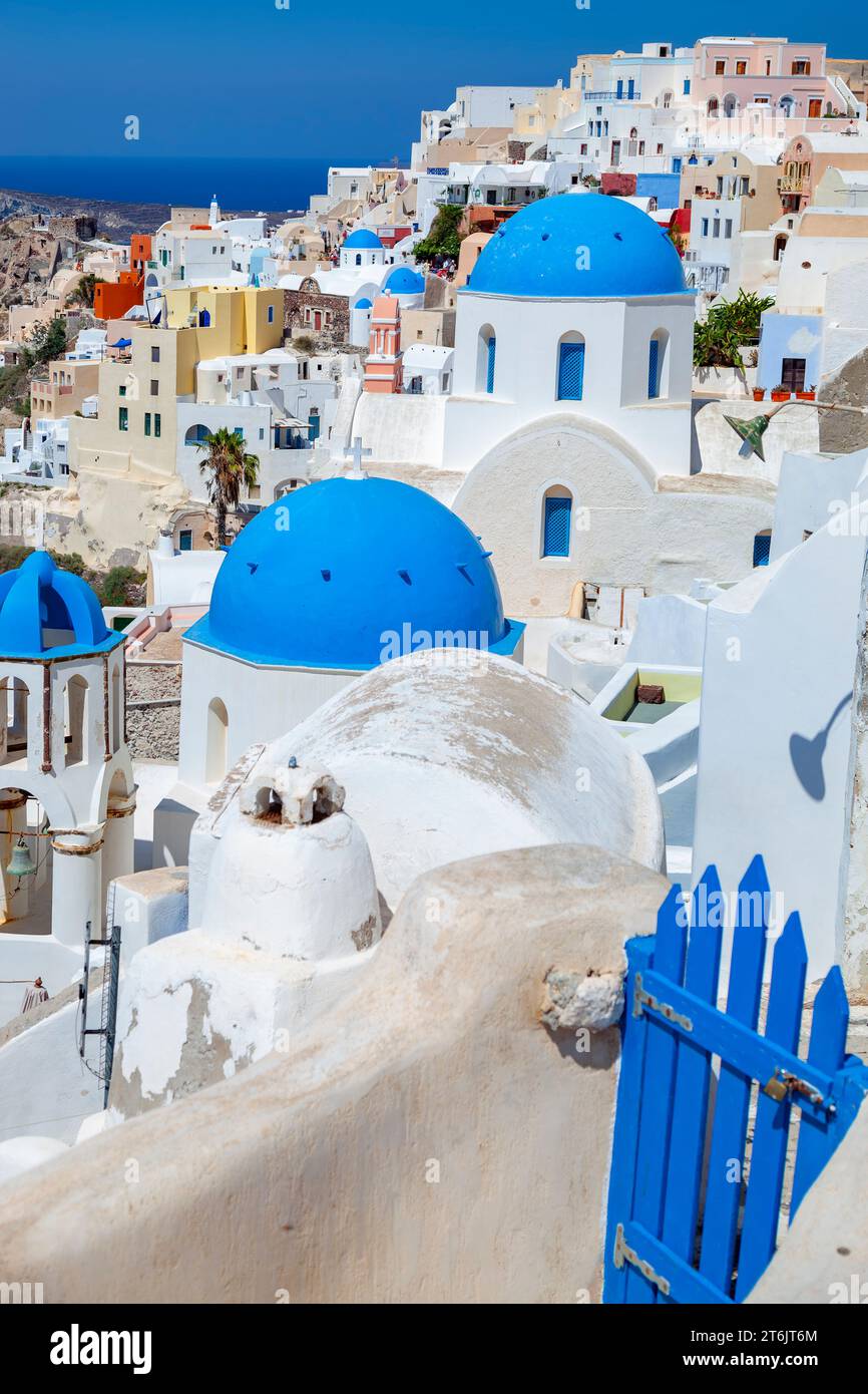 Santorinii donkey hi-res stock photography and images - Alamy