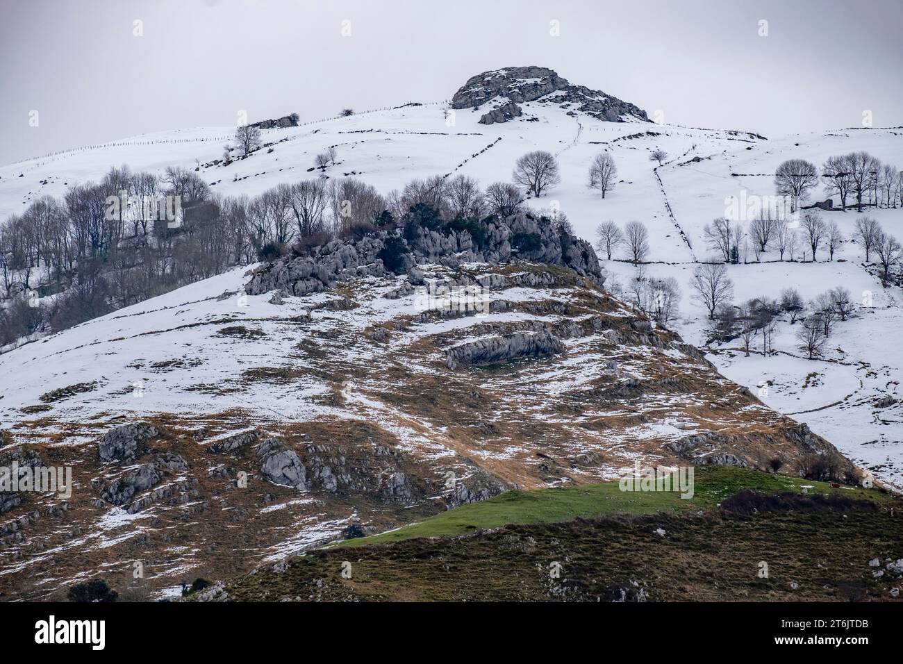 Ason river springs. La Gandara, Spain Stock Photo - Alamy