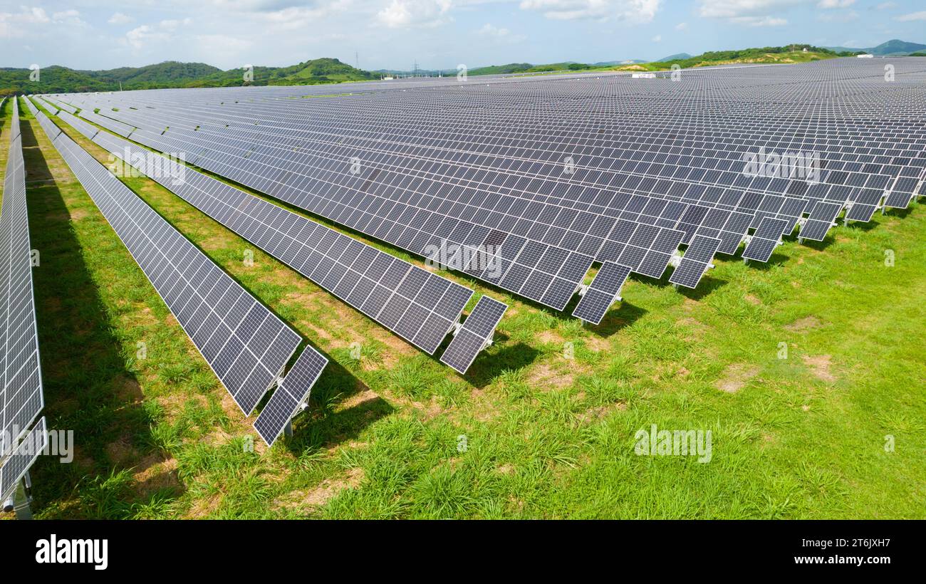 Solar solar panels photovoltaic green energy cop26 alternative energy ...