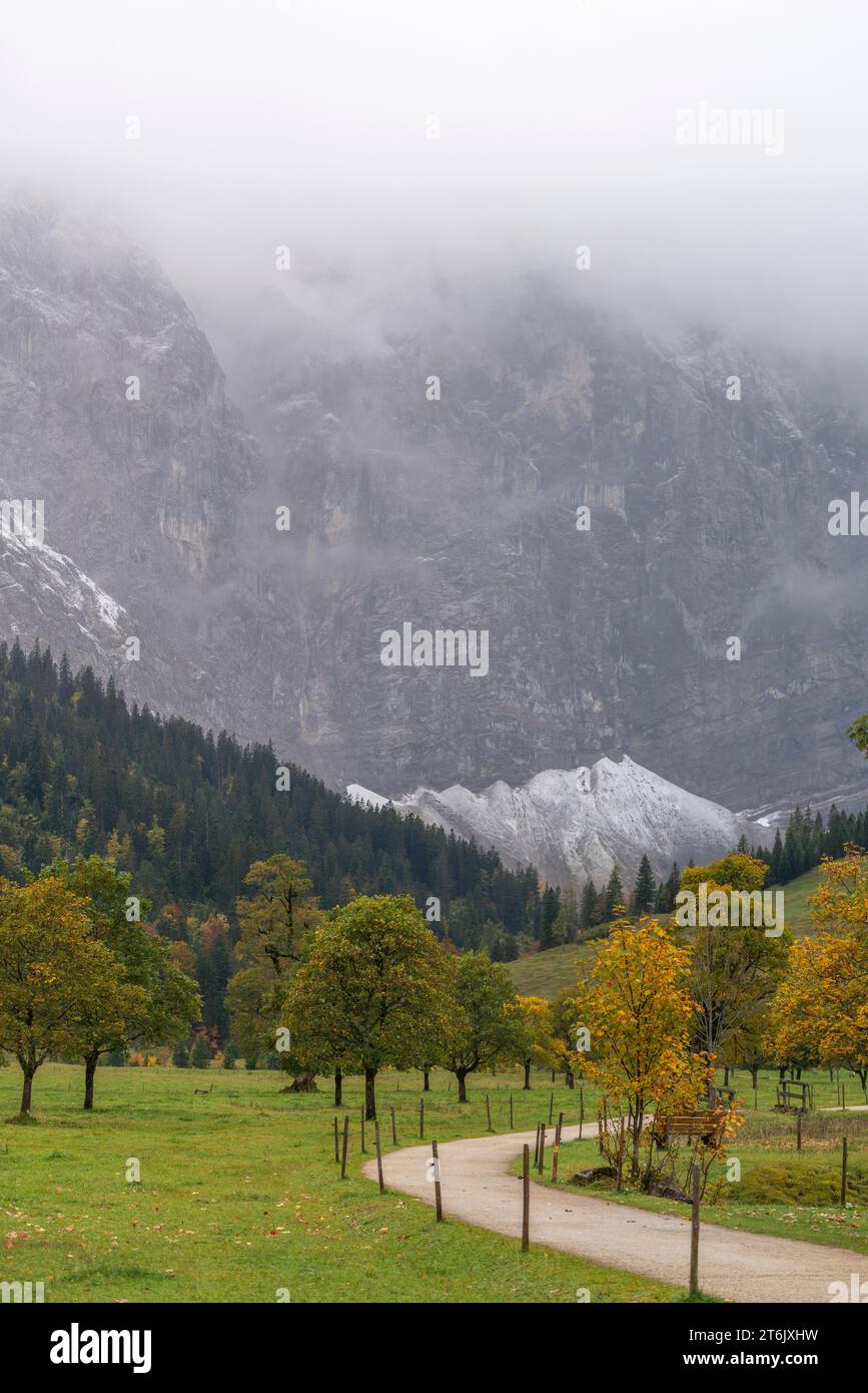 A cold and foggy autumn day in Engtal or Eng Valley, Nature Reserve ...