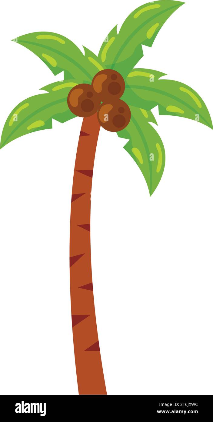 Isolated colored palm tree with coconuts Vector Stock Vector Image ...